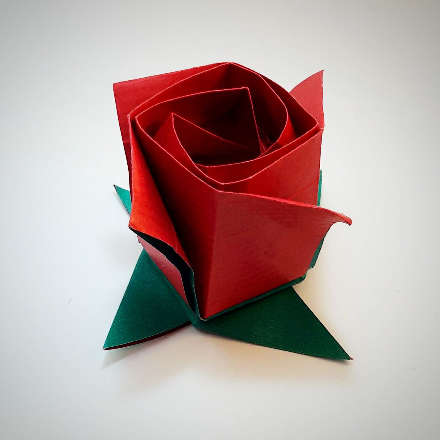 Comment offrir des roses : 4 façons originales d'offrir des roses