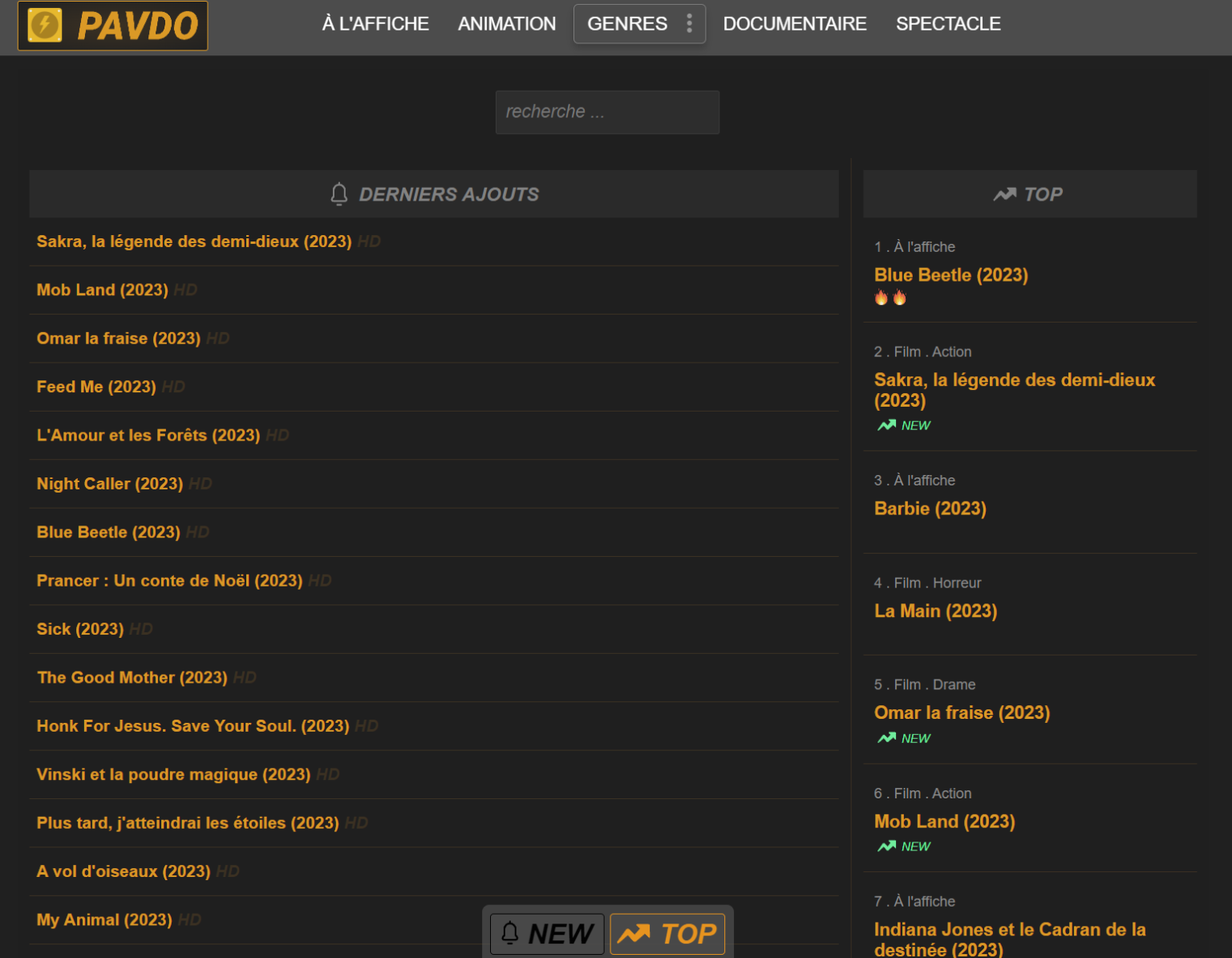 Pavdo ne fonctionne plus ? Voici la nouvelle adresse janvier 2024 ...