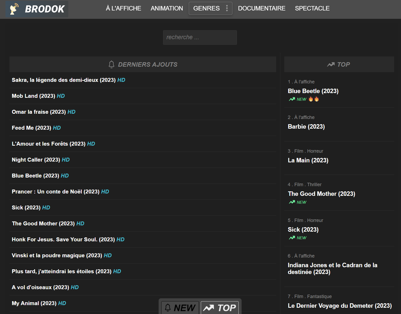 Brodok ne fonctionne plus ? Tout savoir sur la nouvelle adresse brodok.com