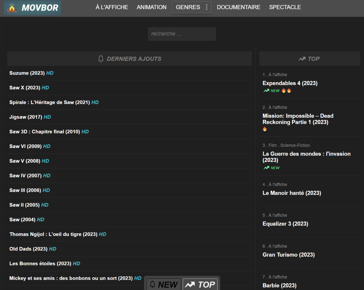 Movbor ne fonctionne plus ? Voici la nouvelle adresse : movbor.com
