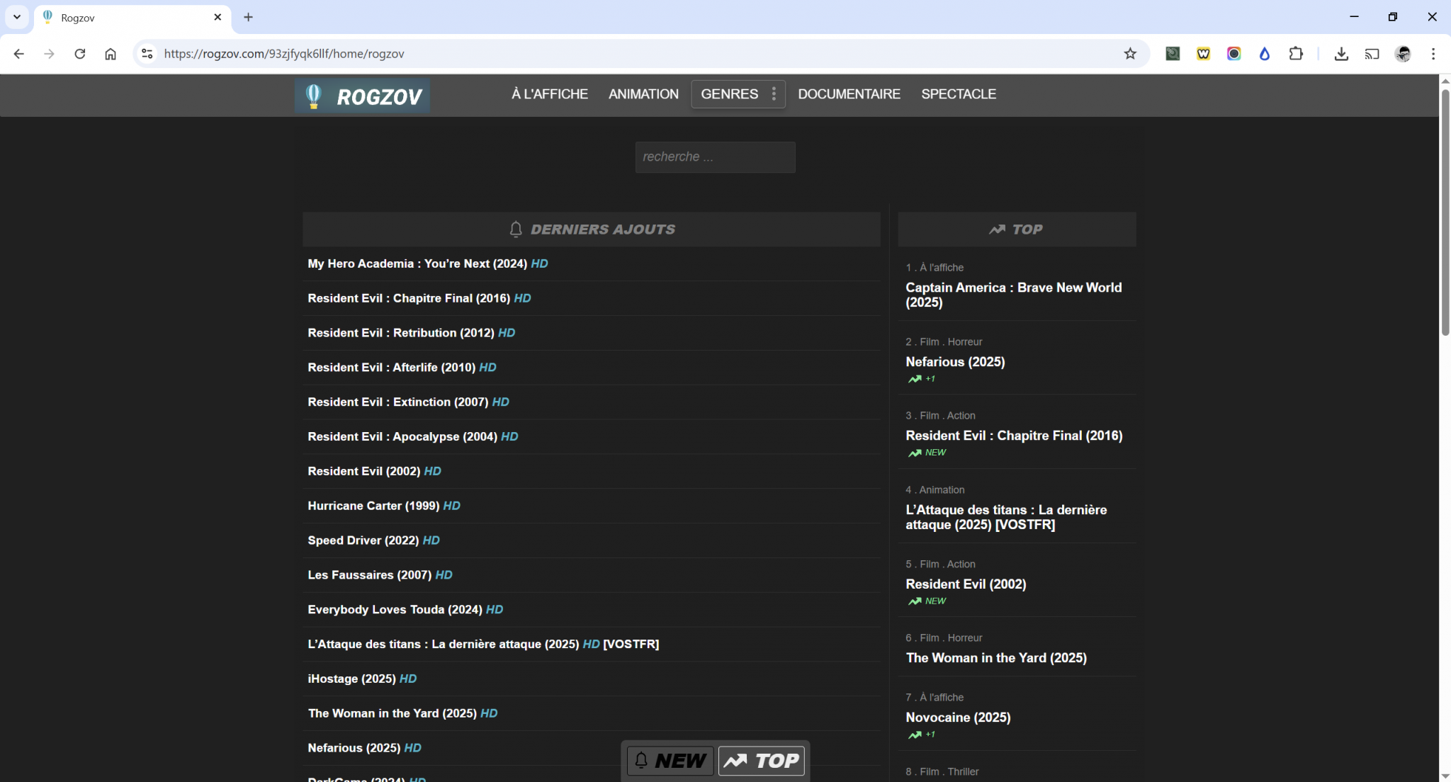 Rogzov ne fonctionne plus ? Voici la nouvelle adresse avril 2025 : rogzov.com
